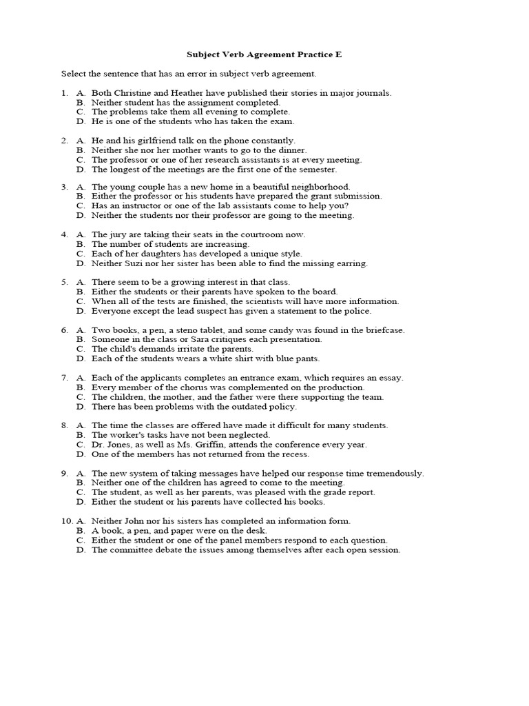 Subject Verb Agreement Practice E | PDF