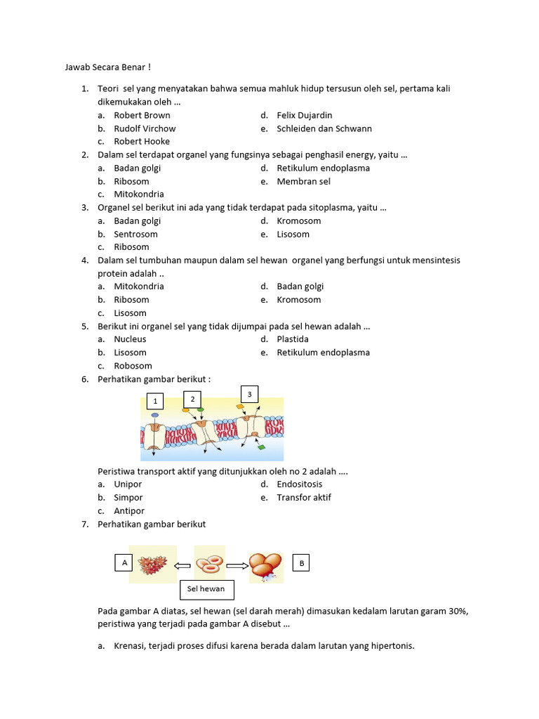 Soal Biologi Sel untuk Siswa | PDF