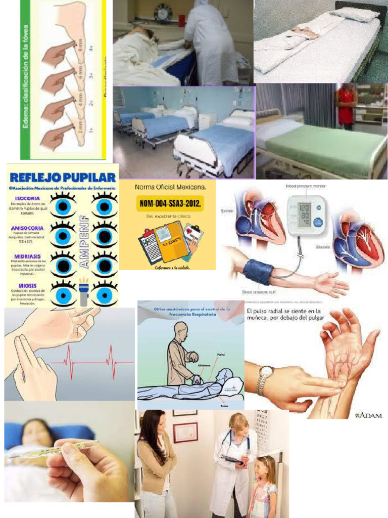 Tecnicas Basicas | PDF