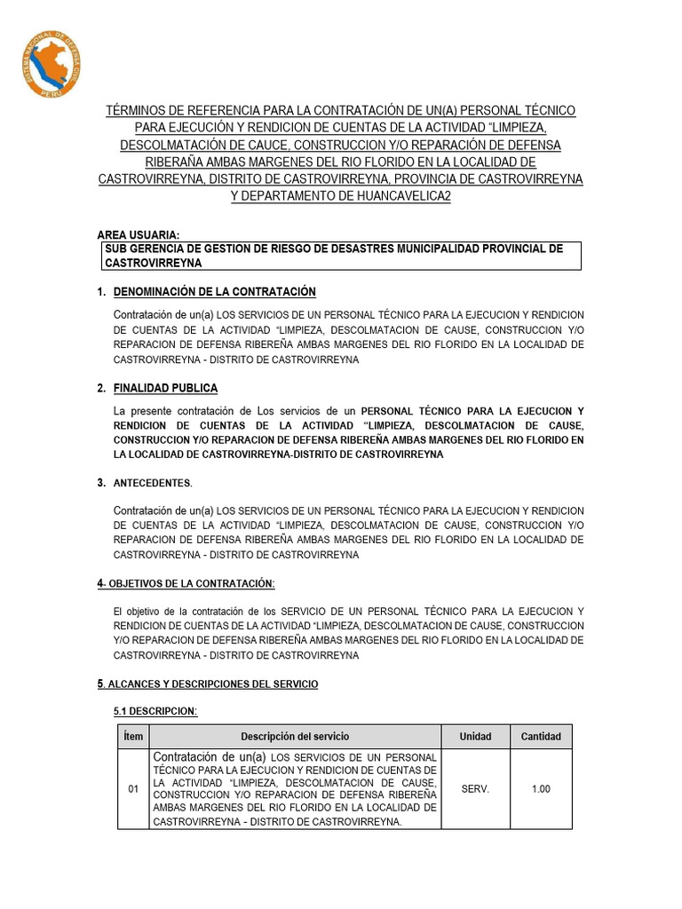 TDR - Asistente Tecnico | PDF