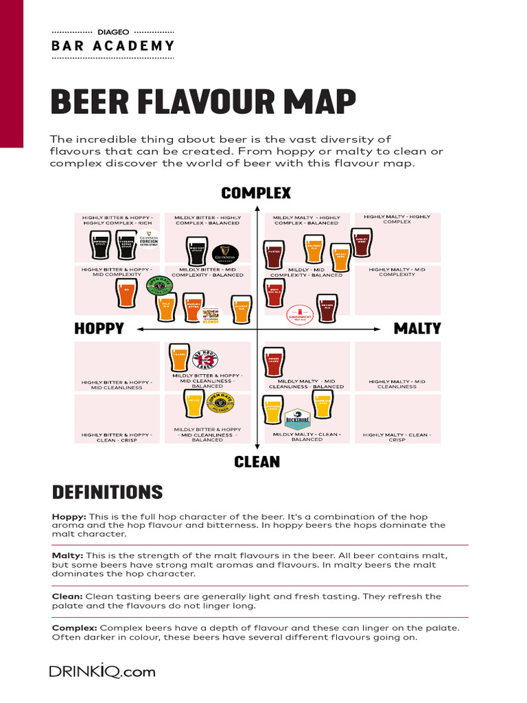 4003 Beer Flavour Scale | PDF