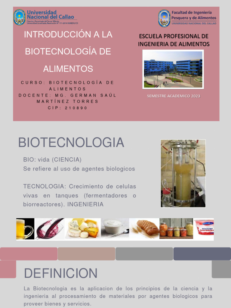4 Diapos de Biotec Resumen | PDF | Adn | Clonación