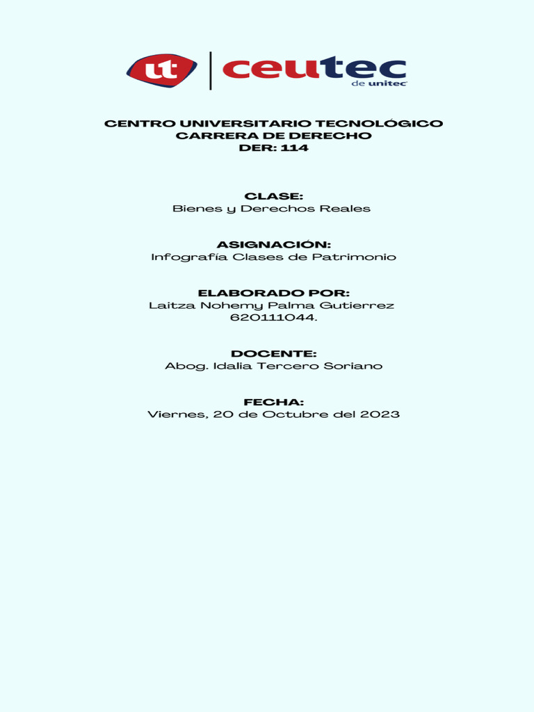 Annotated-Infografía - Clases de Patrimonio - Laitzapalma620111044 | PDF