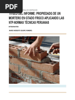 Proceso de Zarpeo y Afine en Muros | PDF | Mortero (Albañilería) | Cemento