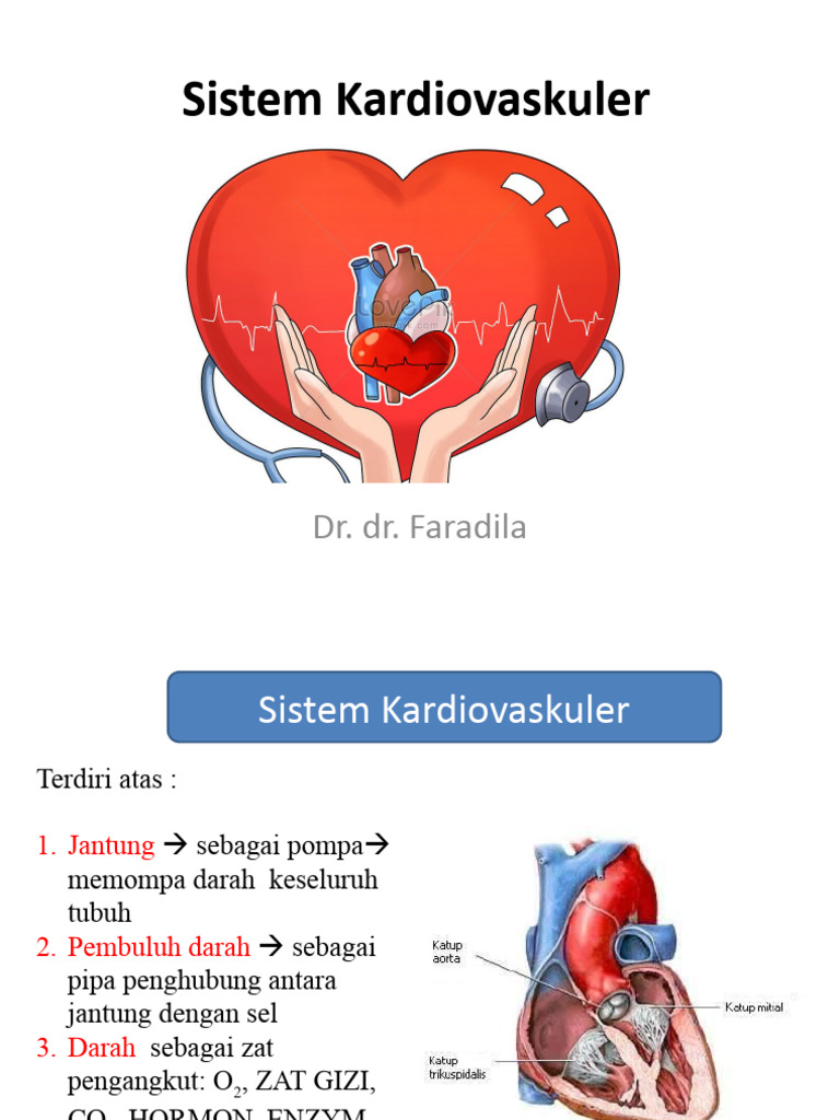 Sistem Kardiovaskuler | PDF