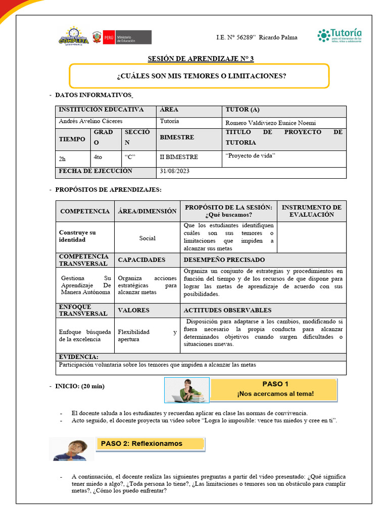 Sesion #3 Proyecto de Vida | PDF | Aprendizaje | Evaluación