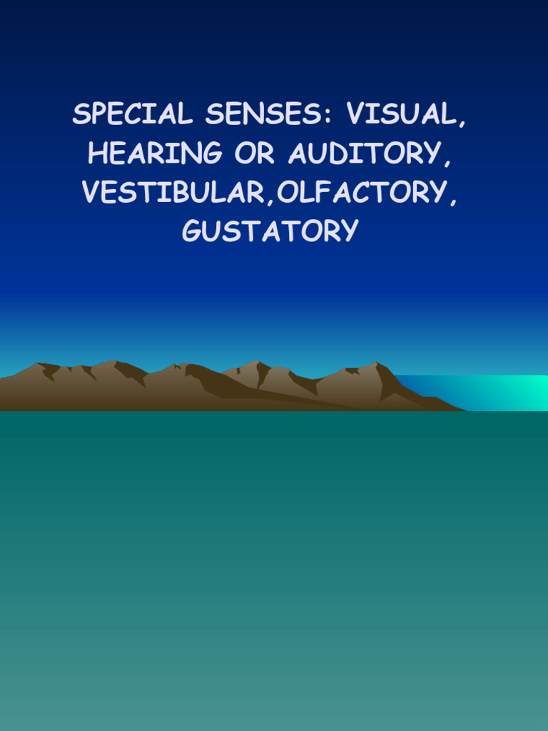 2021 Anaphy Special Senses Visual Auditory VestibularOlfactoryGustatory ...
