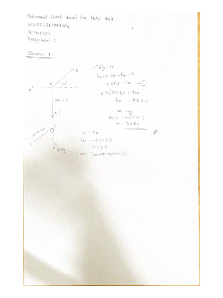 Semm1203 Assignment 1 Asraf Hanafi | PDF