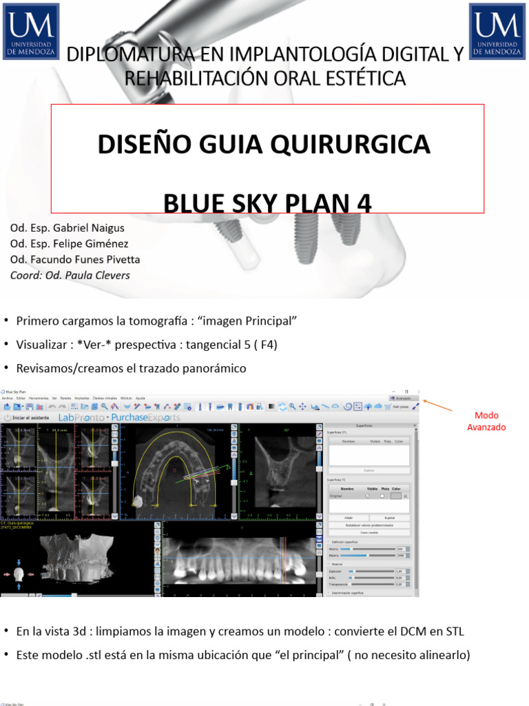 Diseño Guia BSB | PDF