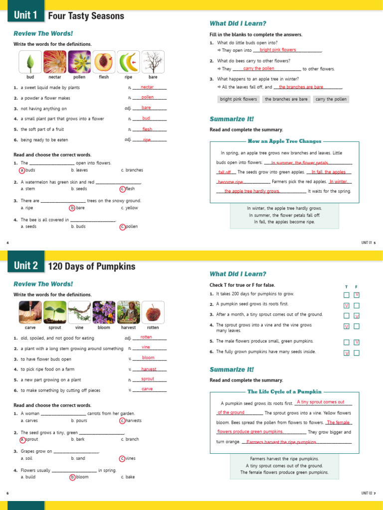 Bricks Reading 170 Nonfiction - L1 - WB - Answer Key | PDF | Botany ...