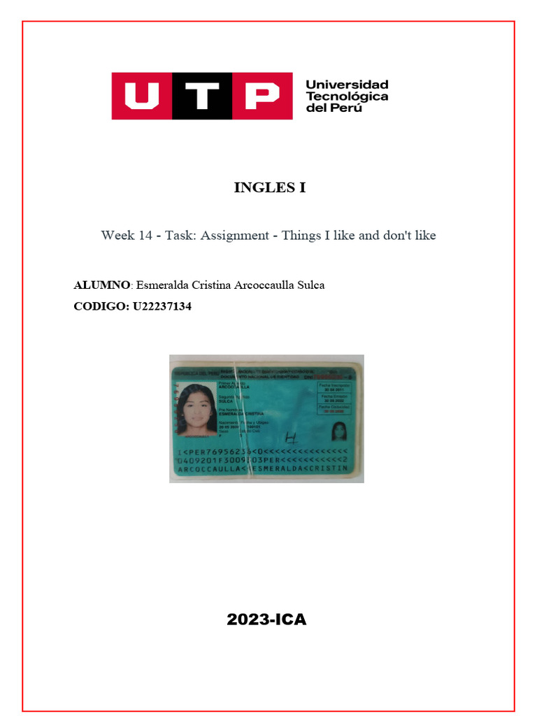 Week 14 Task Assignment Things I Like and Dont Like | PDF