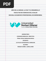 Usos y beneficios de Novadol Forte | PDF | Antiinflamatorio | Analgésico
