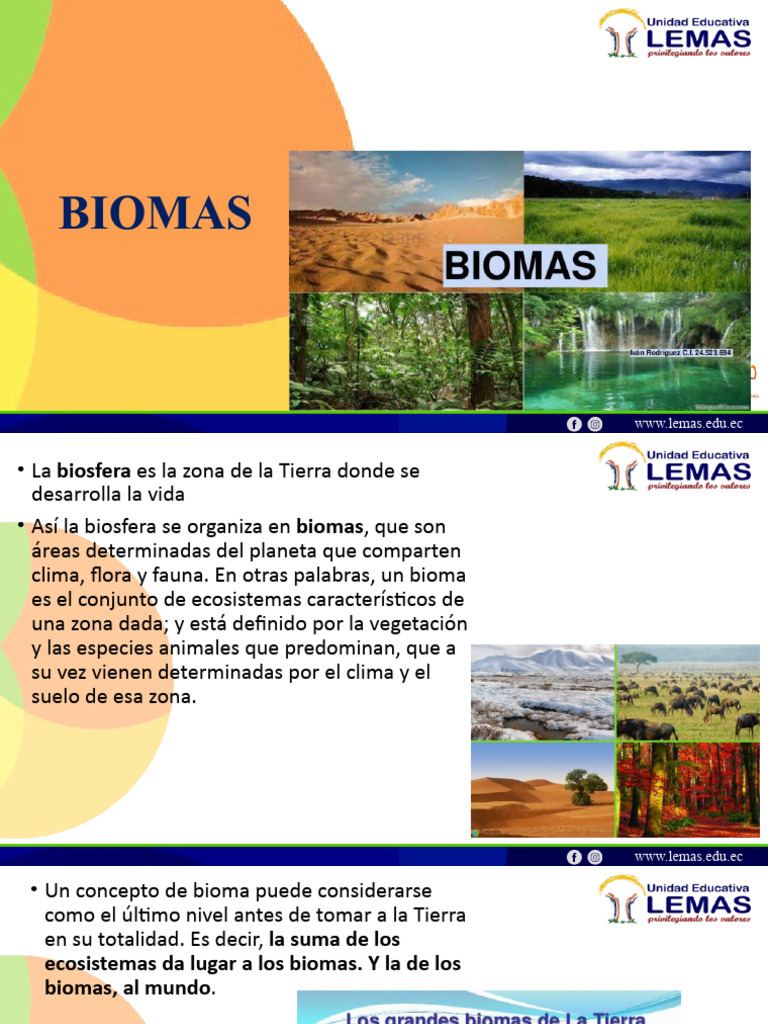 Biomas | PDF | Biomas | Conservación del medio ambiente
