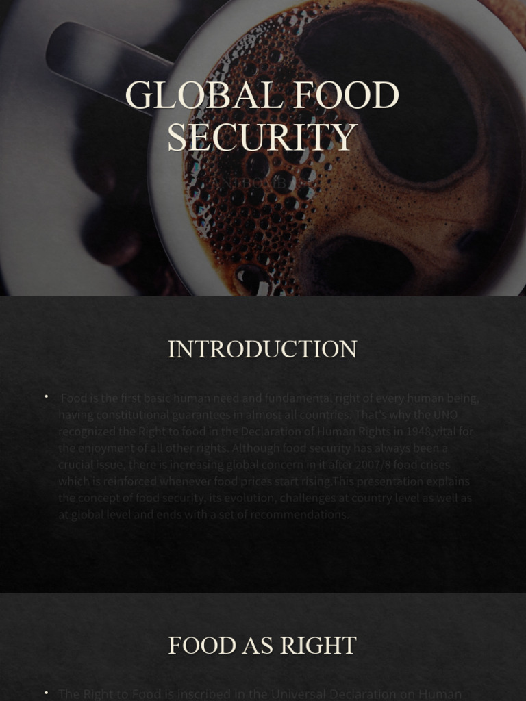 Global Food Security Challenges | PDF | Food Security | Agriculture