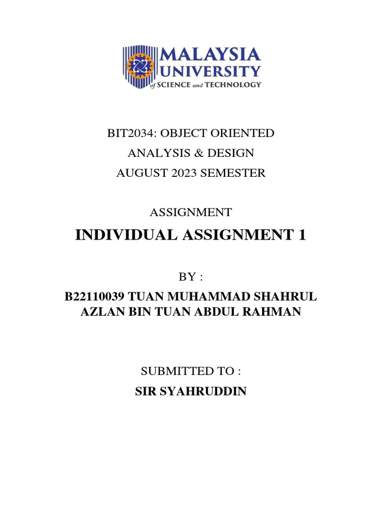 Individual Assignment 1 SHOPEE-1 | PDF | Online Shopping | Feasibility Study