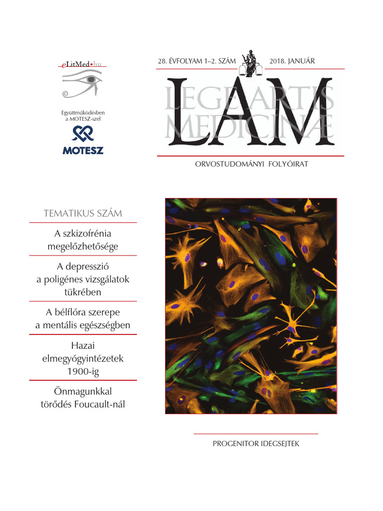 LAM 2018. 28. Évfolyam 1-2. Szám | PDF