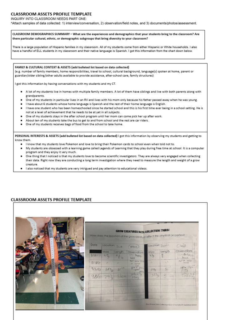 Classroom Assets Profile - Level 3 | PDF | Learning | Literacy