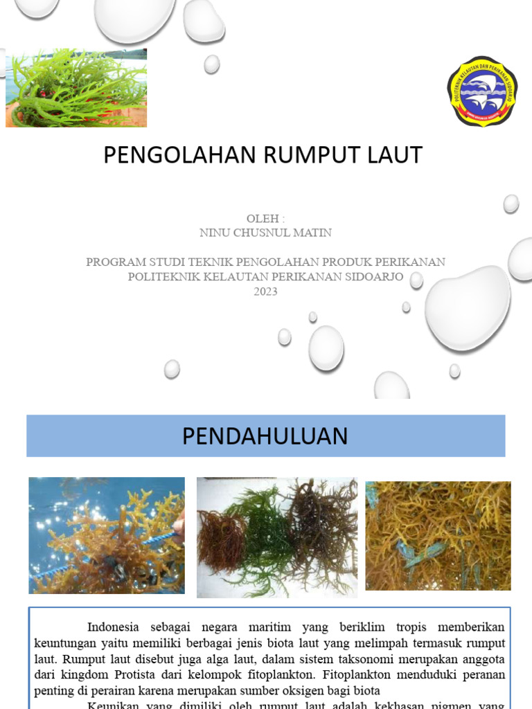 Jurnal Pengolahan Rumput Laut Oleh Ninu | PDF | Sains & Matematika