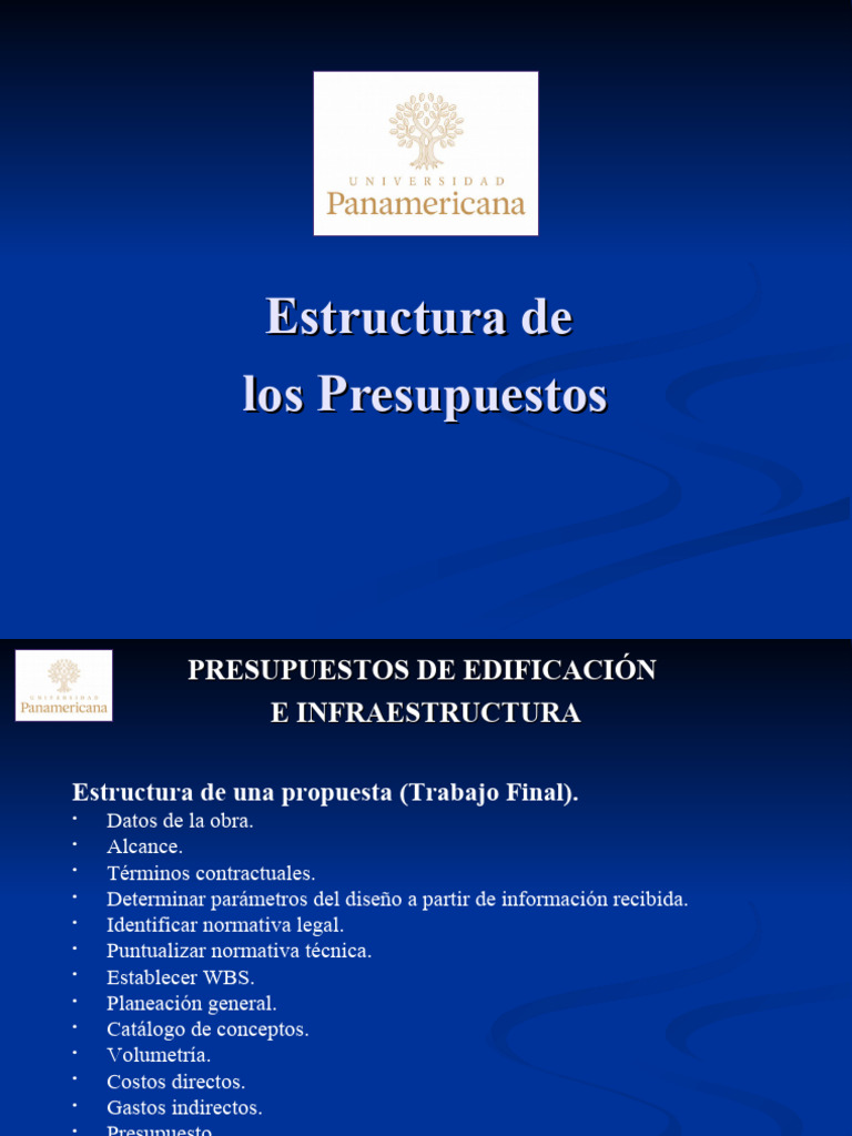 41 Estructura de Los Presupuestos | PDF