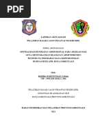 Contoh RA - Rancangan Aktualisasi Latsar CPNS (Erwin) | PDF