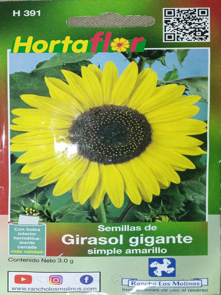 Semilla de Girasol Gigante Simple Amarrillo | PDF