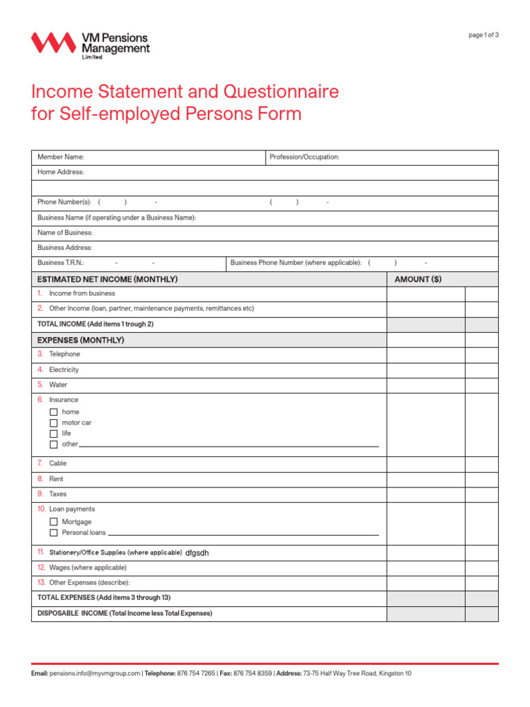 VMPM Income Statement Questionnaire For Self Employed | PDF | Self ...