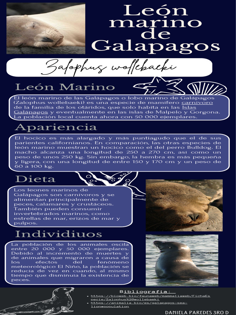 Características del león marino de Galápagos | PDF | Hogar, jardinería ...