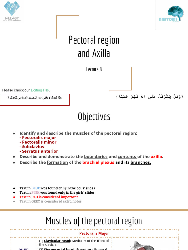 Lecture 8 - Pectoral Region and Axilla | PDF | Arm | Limbs (Anatomy)