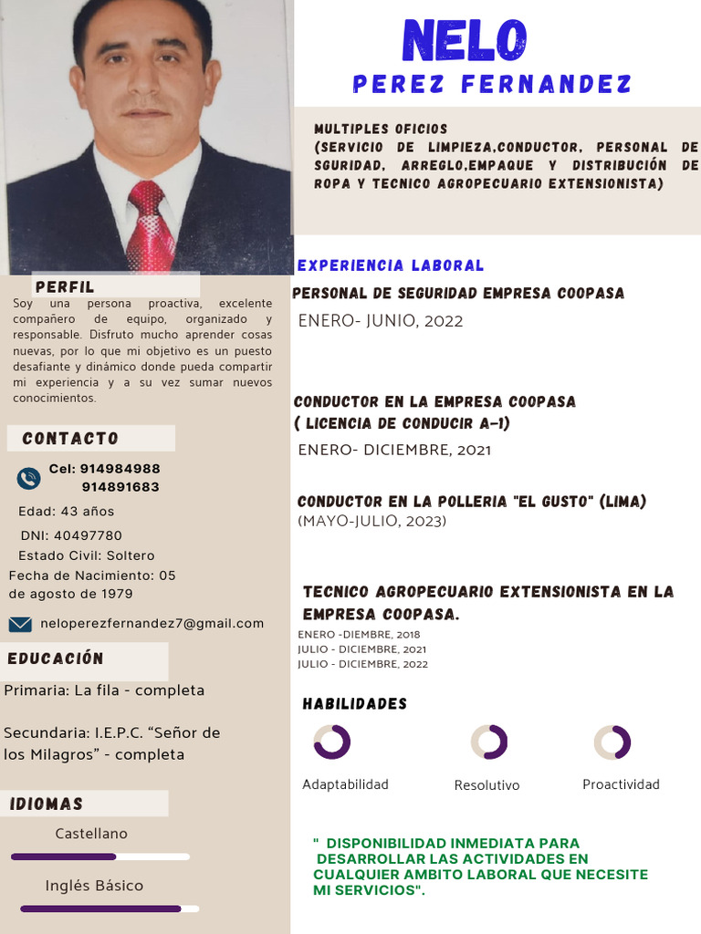 Curriculum CV Hoja de Vida Resume Profesional Elegante Minimalista ...