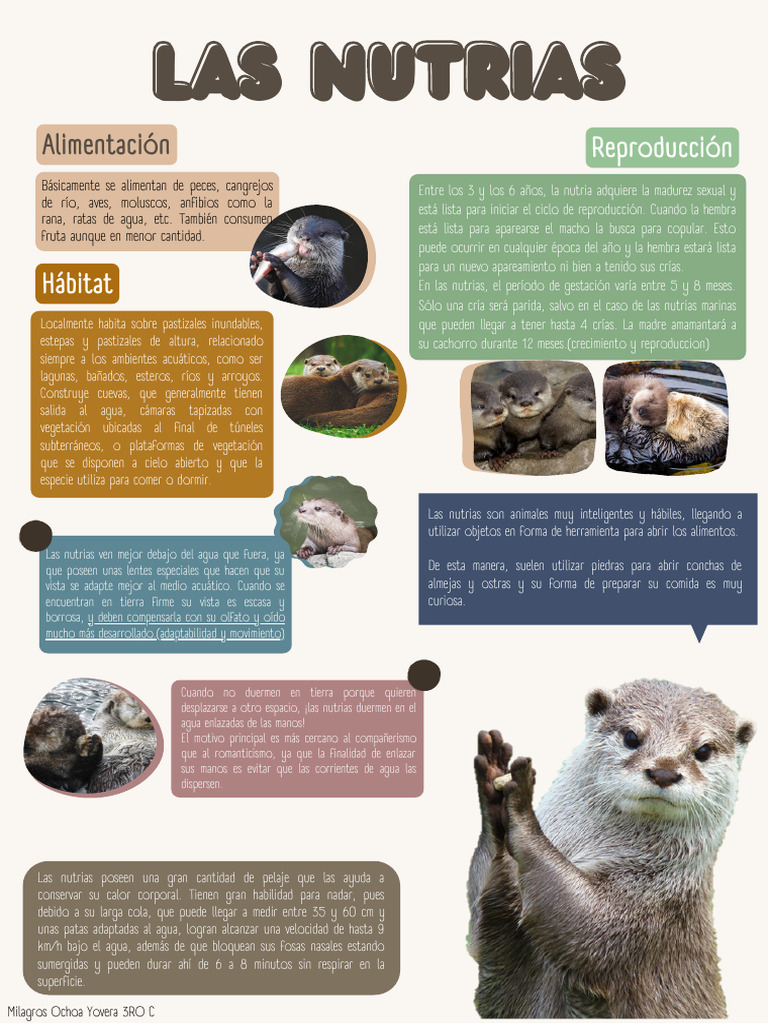 Las Nutrias | PDF | Nutria | Agua