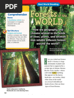 Ava'S - Amazon Rainforest Brochure | PDF | Amazon Rainforest | Trees