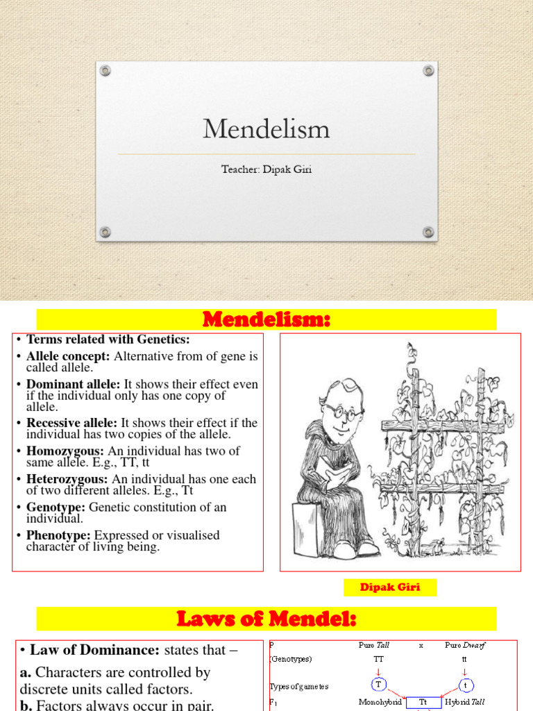 Mendelism: Genetics and Laws Explained | PDF | Dominance (Genetics) | Allele
