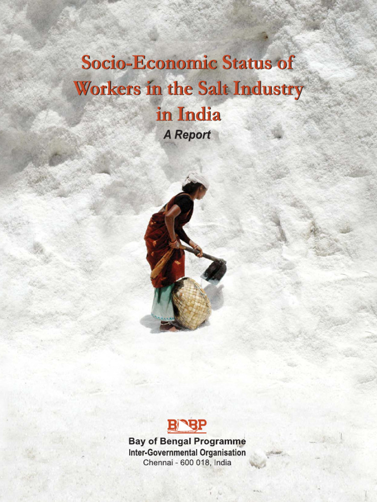 7-Socio-Economic Status of Workers in The Salt Industry in India | PDF ...