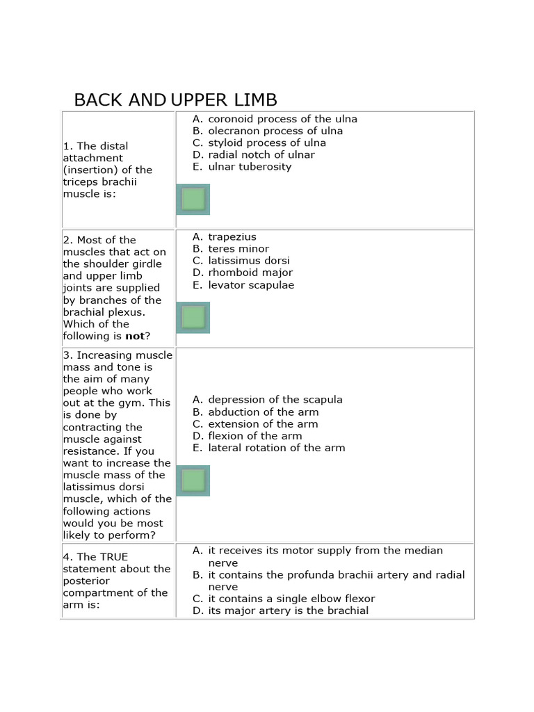 Anatomy Questions and Answers | PDF | Arm | Thumb