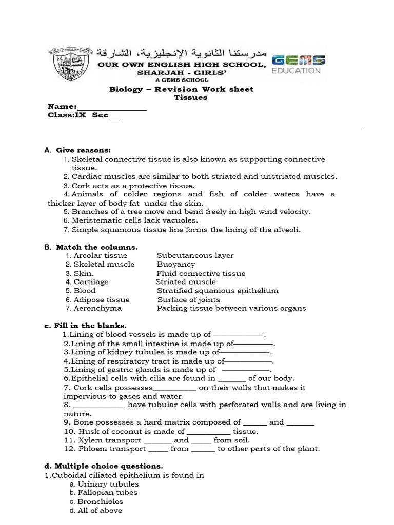 Grade 9 - Tissues - Revision WRKSHT - 23-24 | PDF | Tissue (Biology) | Epithelium