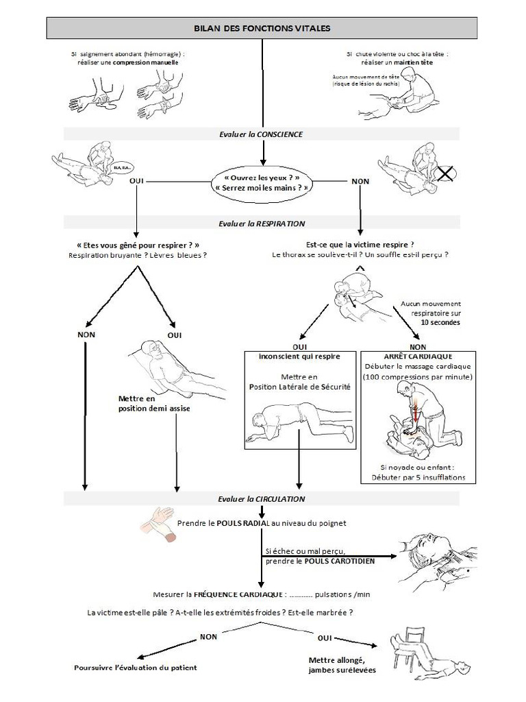 Fonctions Vitales | PDF