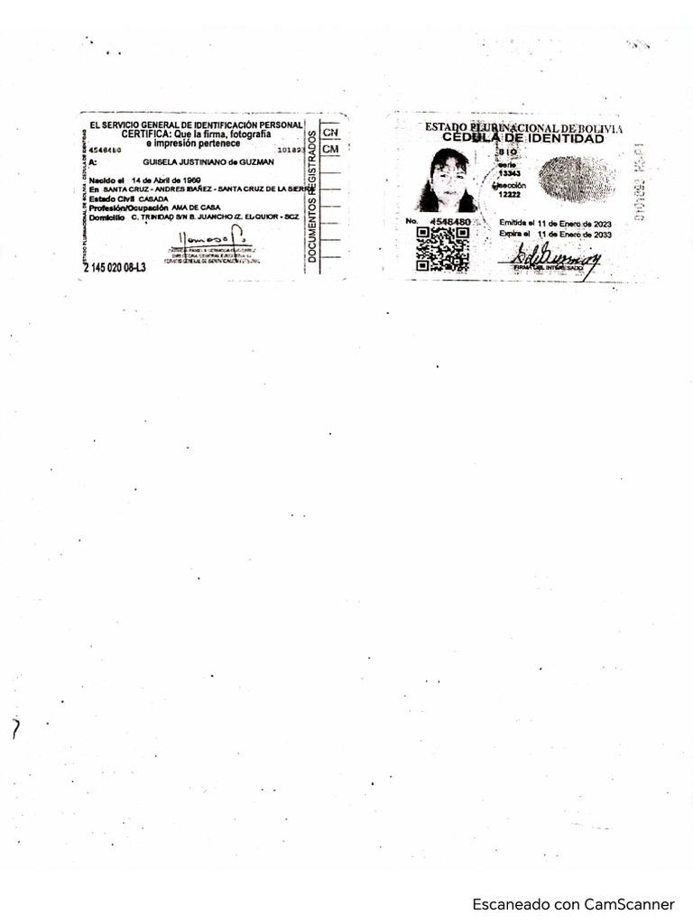 Carnet | PDF