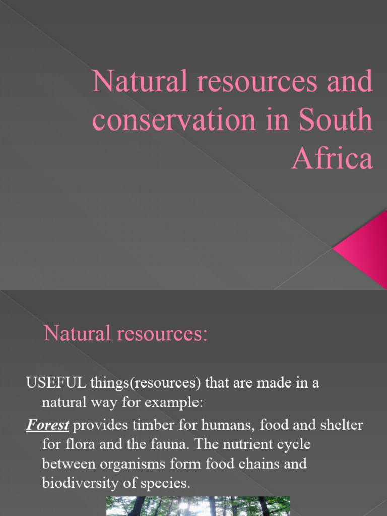 Natural Resources and Conservation in South Africa GR 7 | PDF | Soil ...