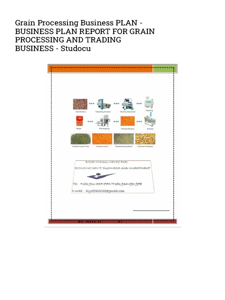 Grain Processing and Trading Business Plan | PDF | Legume | Agriculture