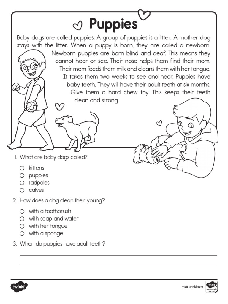 BW First Grade Puppies Reading Passage Comprehension Activity | PDF ...