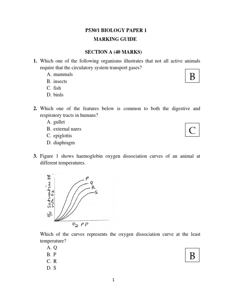 Umta Uace Guide Bio1 Guide | PDF | Photosynthesis | Biology