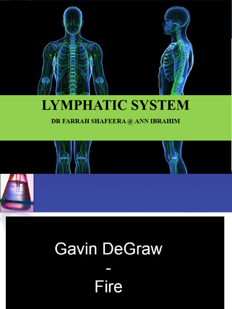 2020 Lymphatic System Pdf Lymph Node Lymphatic System