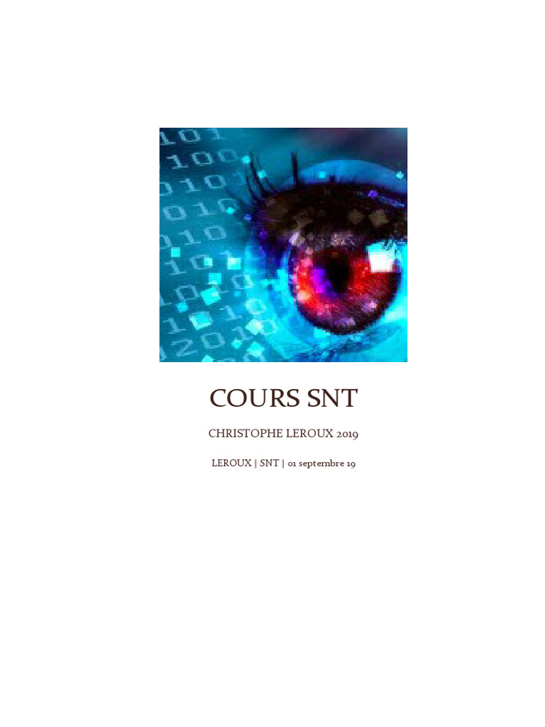 Cours SNT : Données et Formats CSV/JSON | PDF | Valeurs séparées par ...