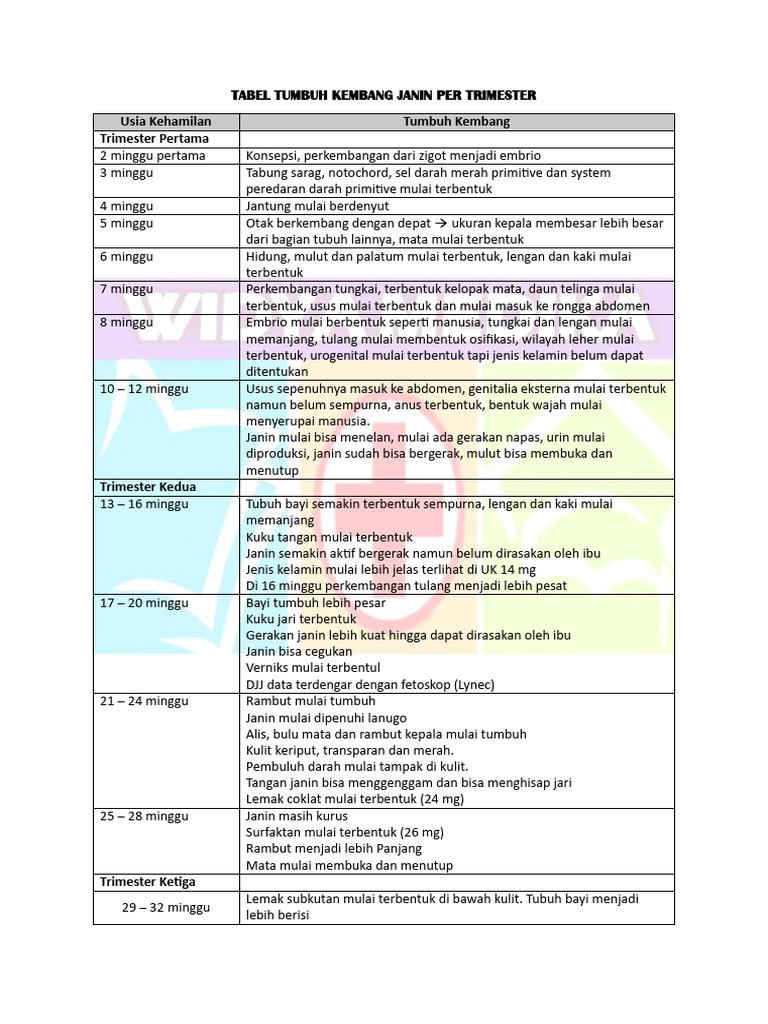 Tabel Tumbuh Kembang Janin Per Trimester | PDF