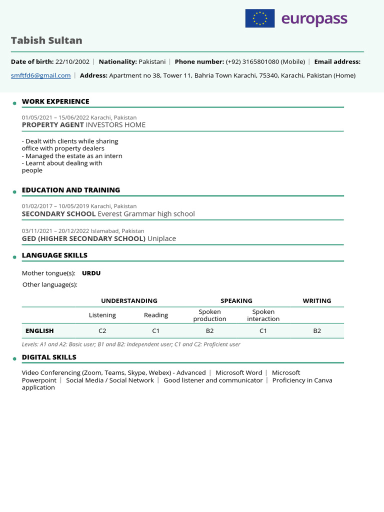Tabish CV Final | PDF