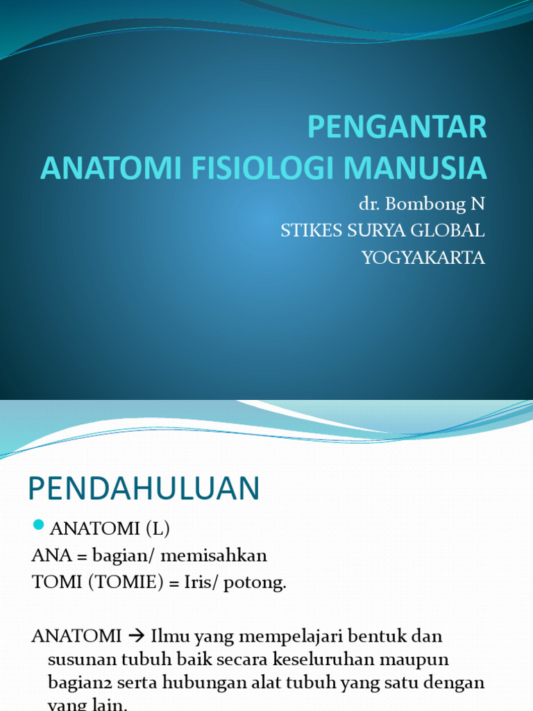 1 Anatomi Fisiologi Manusia | PDF