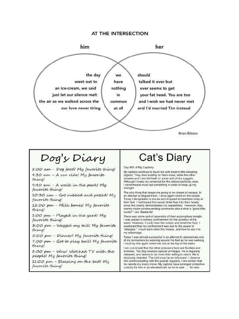 Multiple Perspective Stories | PDF