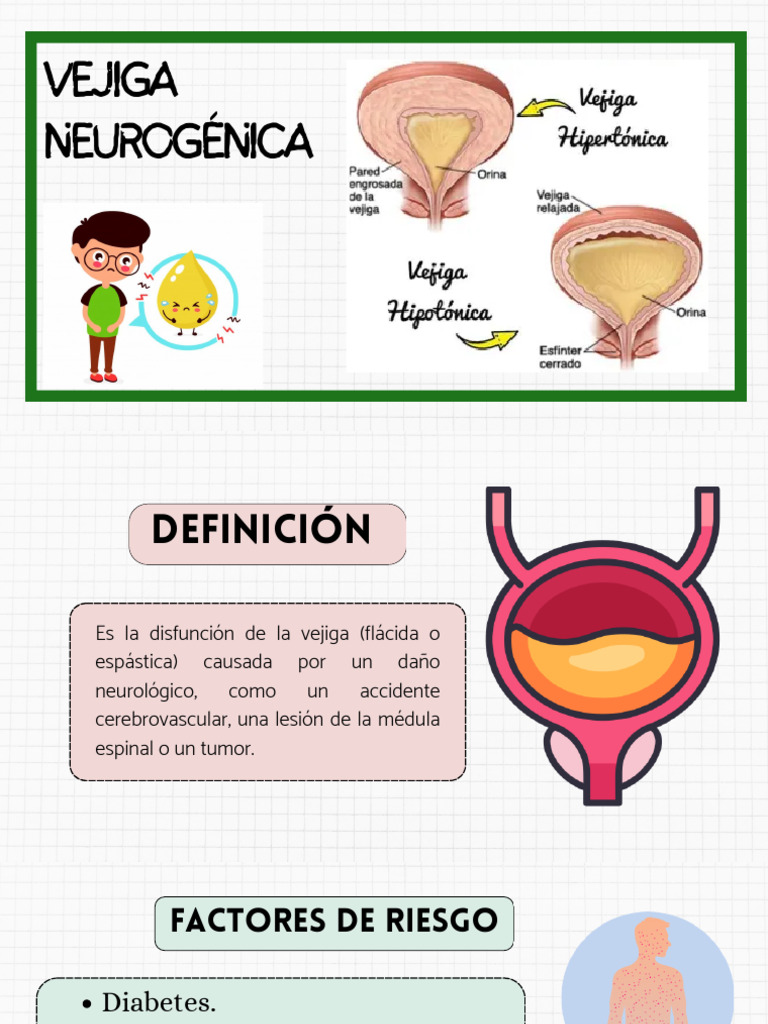 Vejiga Neurogénica | PDF | Órgano (anatomía) | Sistema genitourinario