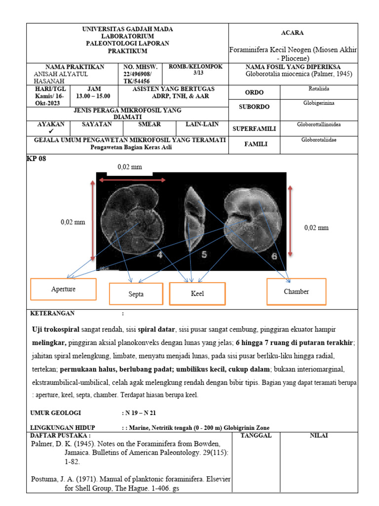 Foraminifera Miosen Akhir di Neogen | PDF
