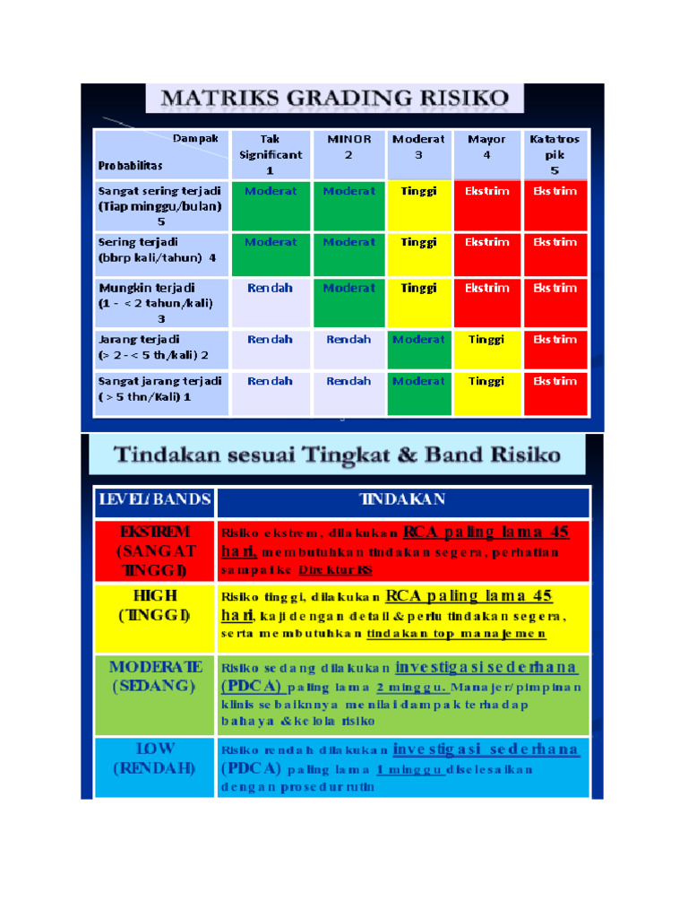 Skoring Register Resiko | PDF